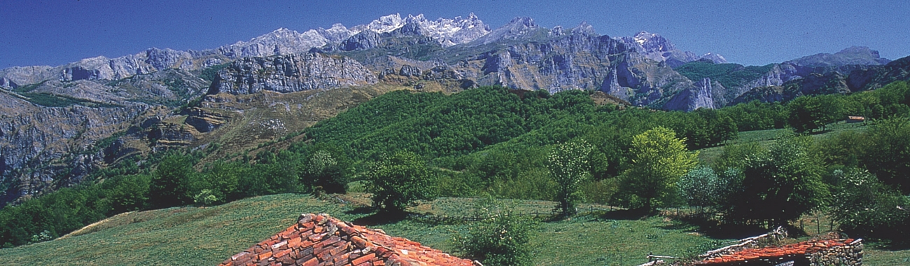 Rutas de senderismo: Les Bedules - Bosque de Peloño