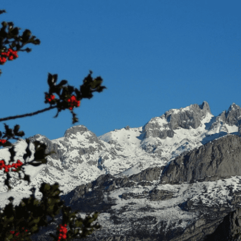 Rutas de Senderismo - Picos de Europa
